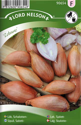 Salottisipuli siemen Nelson Garden Zebrune - K-Rauta