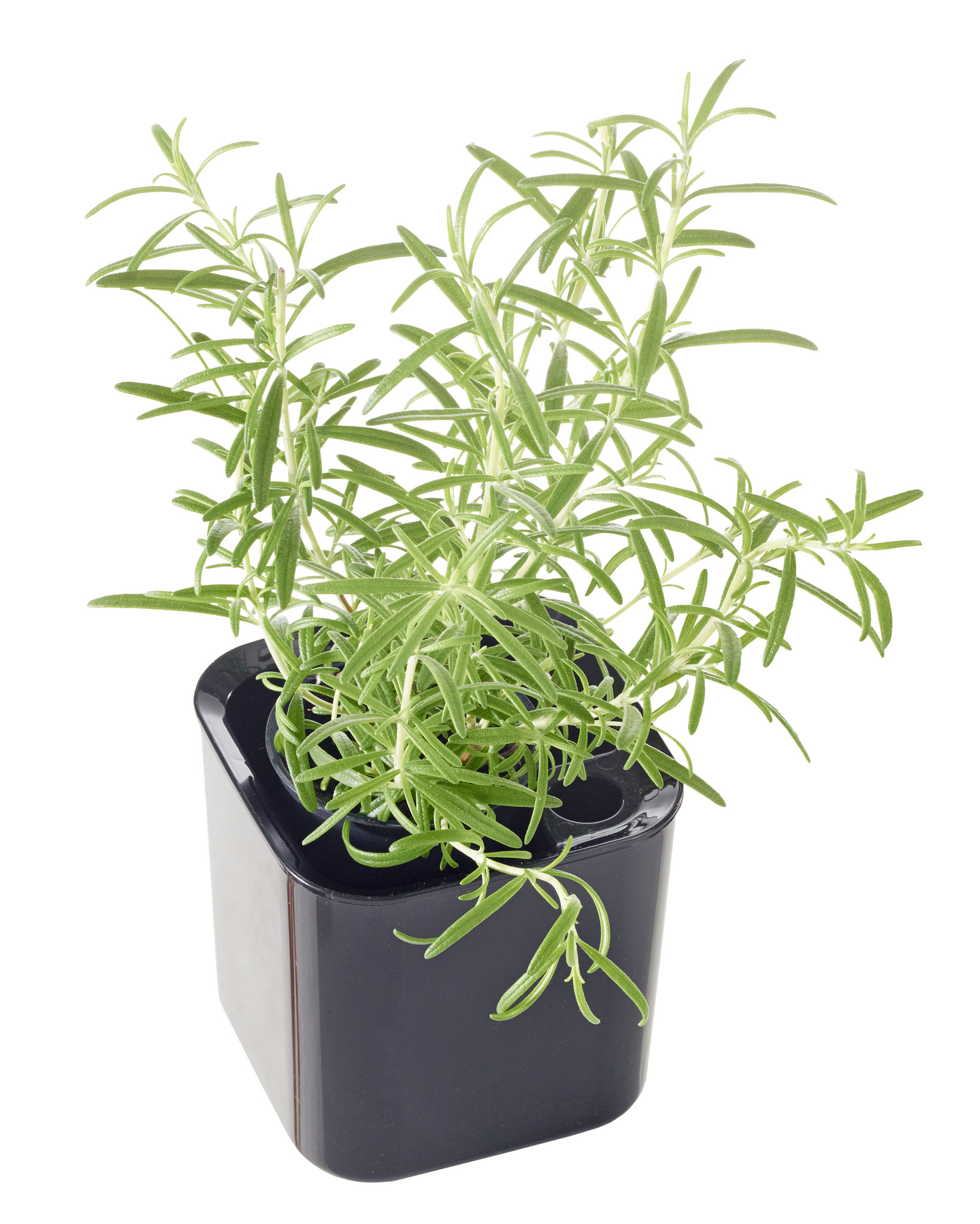 Yrttiruukku Orthex biomuovi musta - K-Rauta