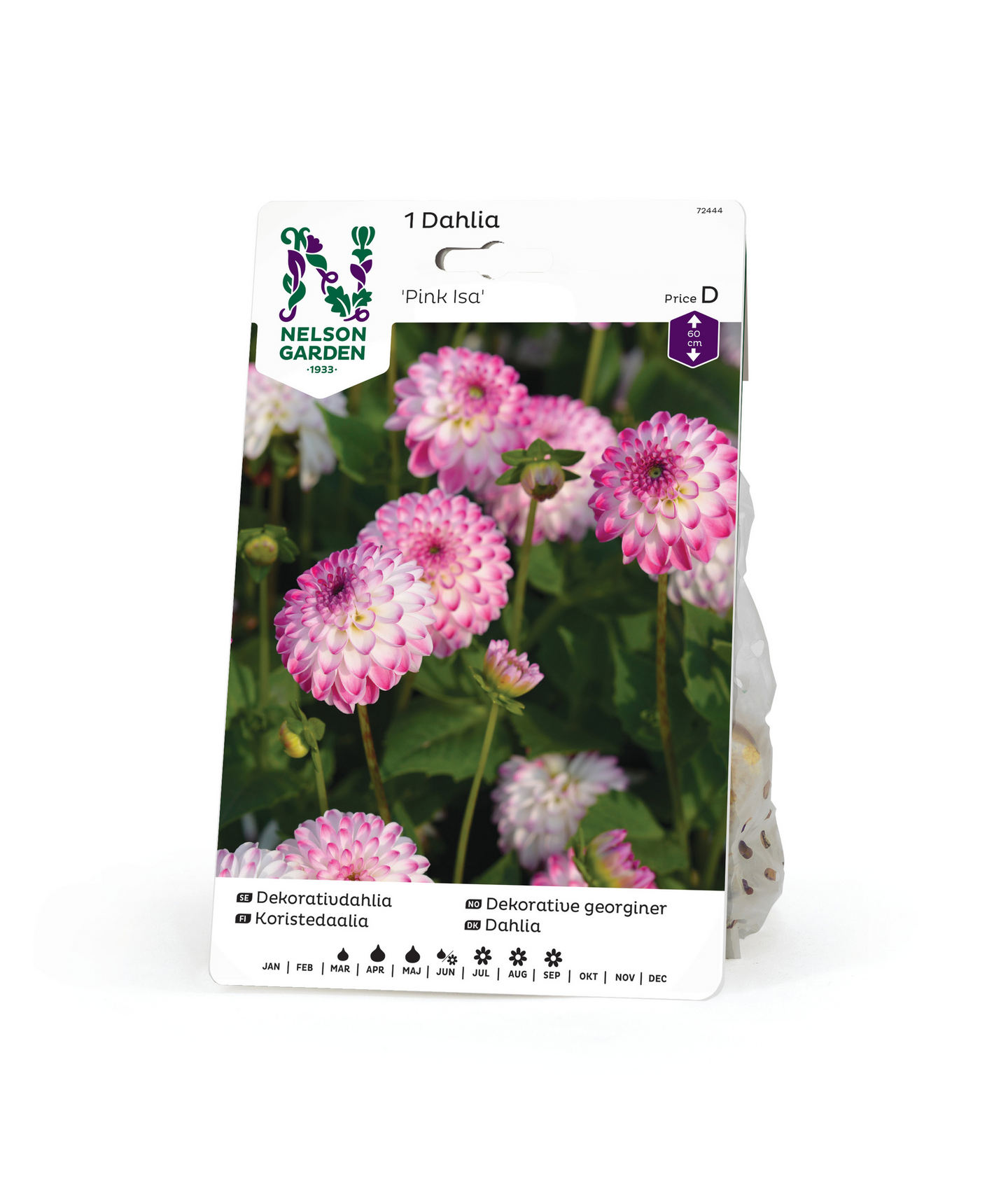 Daalia koriste pink isa 1kpl - K-Rauta