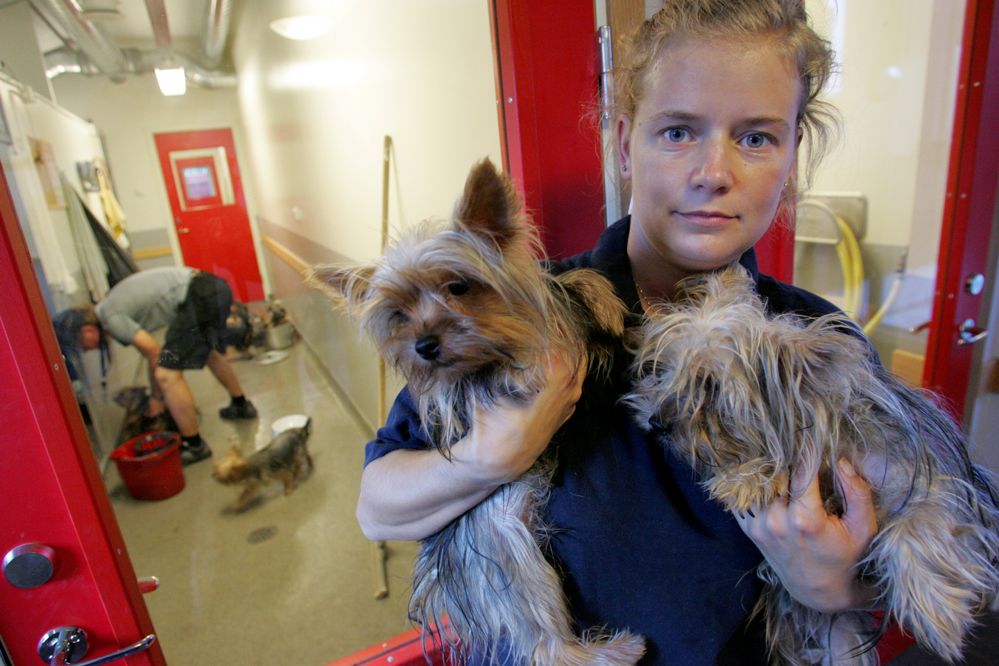 Rakennuslevy Swisspearl Luja A 12x1200x3000mm - K-Rauta