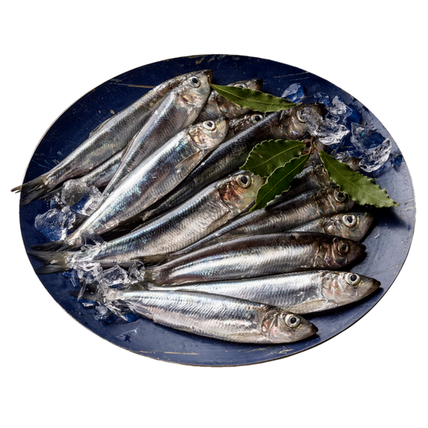 Silakka tuore Suomi | K-Ruoka Verkkokauppa