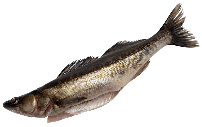 Tuore kuha | K-Ruoka Verkkokauppa