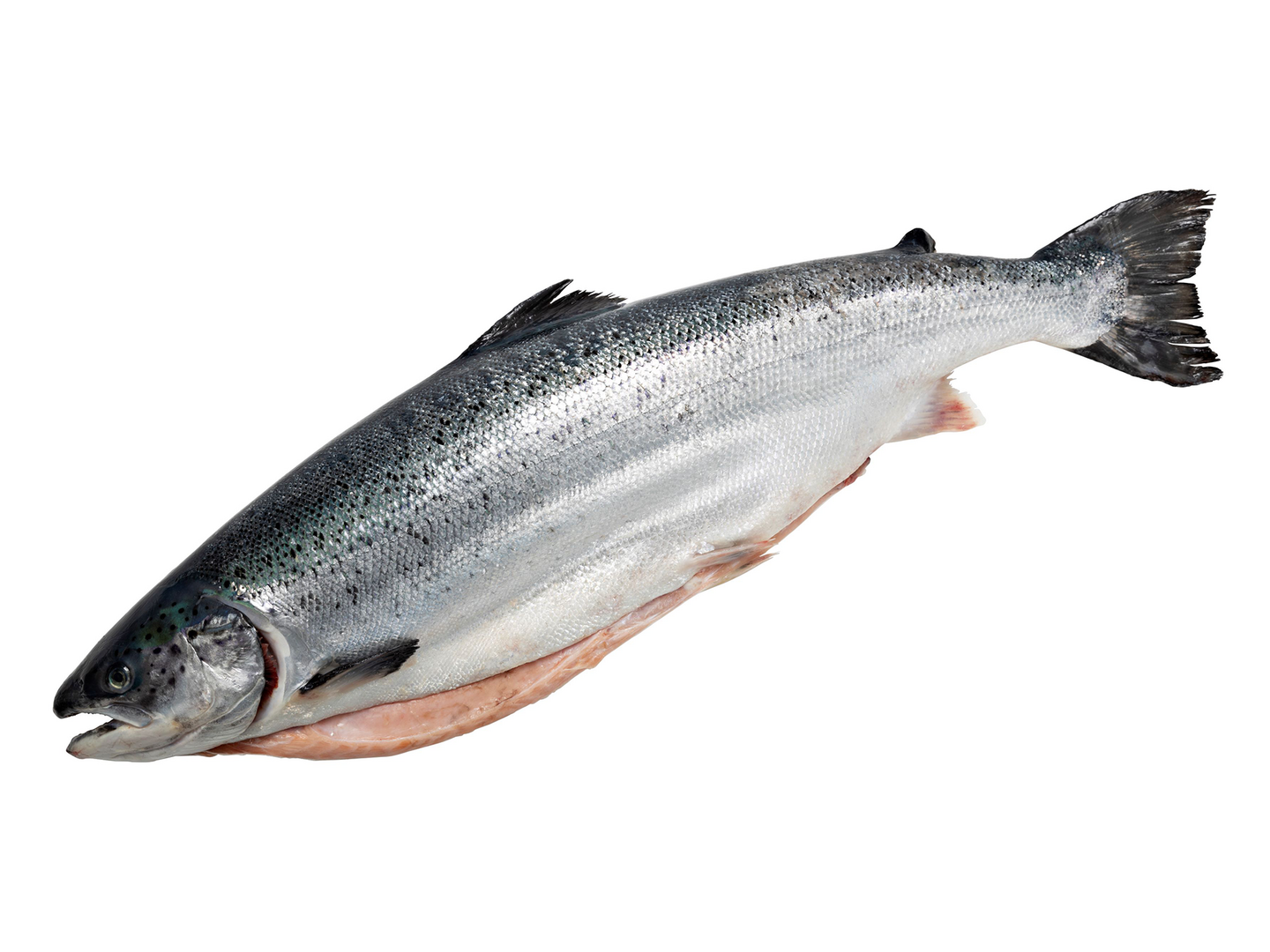 Eriksson lohi 4-5kg | K-Ruoka Verkkokauppa