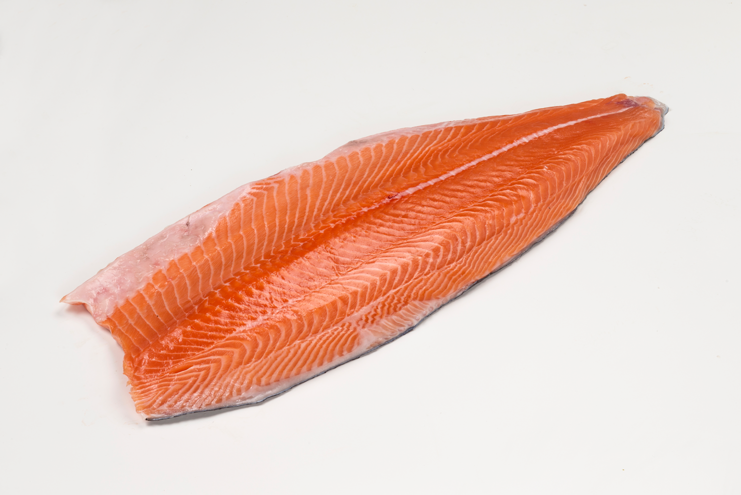 Menu lohifilee C-leikattu n. 1,4-1,9kg ASC pakaste — HoReCa-tukku Kespro