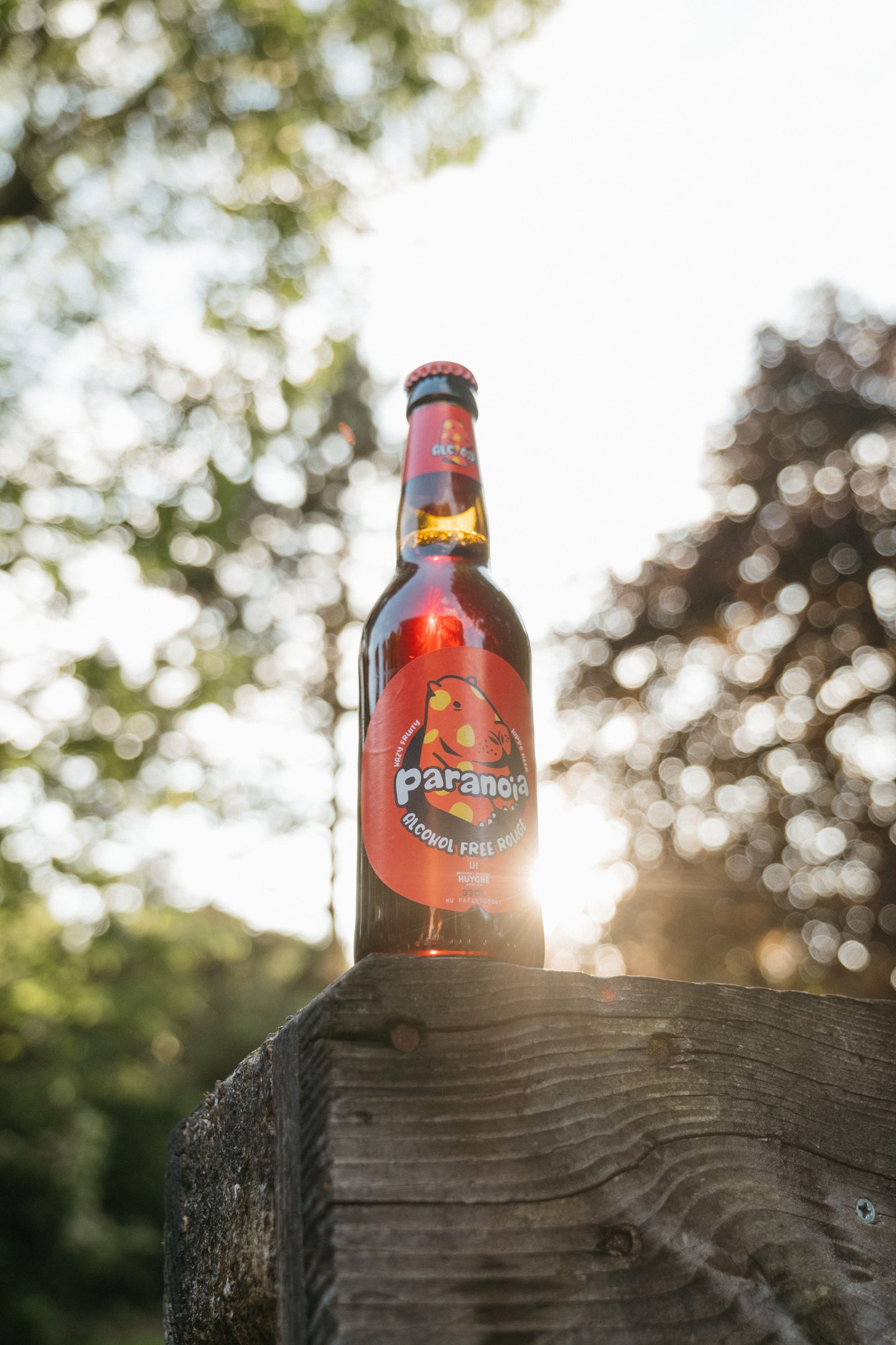 Paranoia Rouge Alcohol Free 0,3% 33cl pullo | K-Ruoka Verkkokauppa