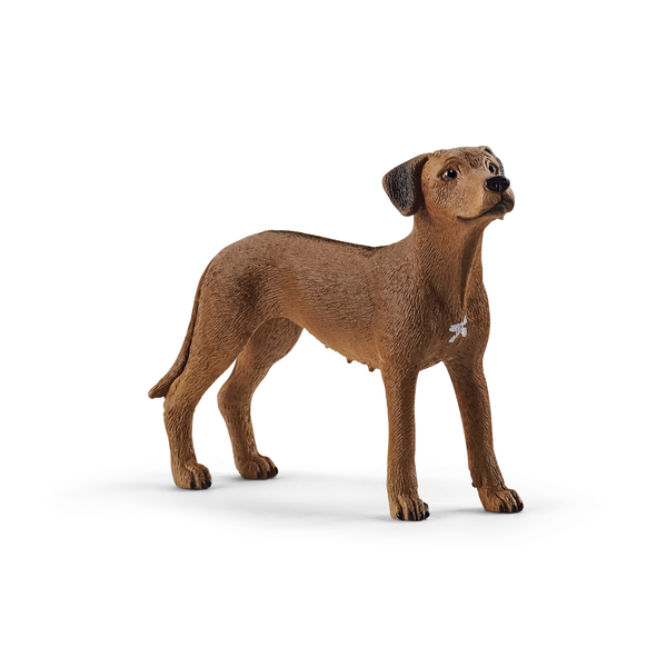 Schleich Rhodesian koira | K-Ruoka Verkkokauppa