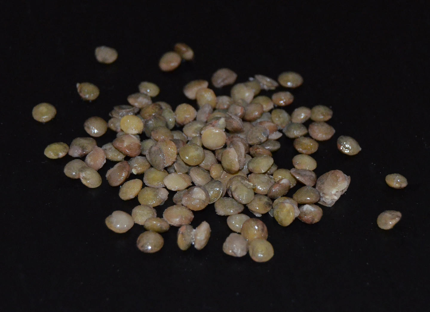 Cater Quality lisäaineeton vihreät linssit keitetty 2x2,5kg pakaste | K ...