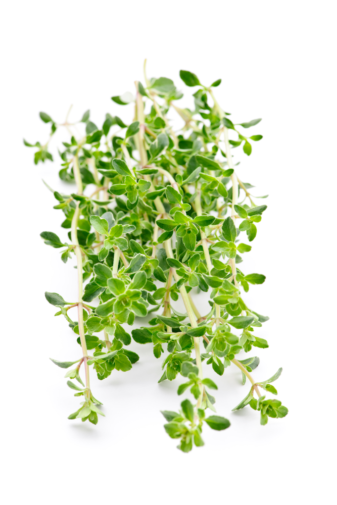 Timjami tuore 100g NL/DE/FR/KE/MA/IT 1lk — HoReCa-tukku Kespro