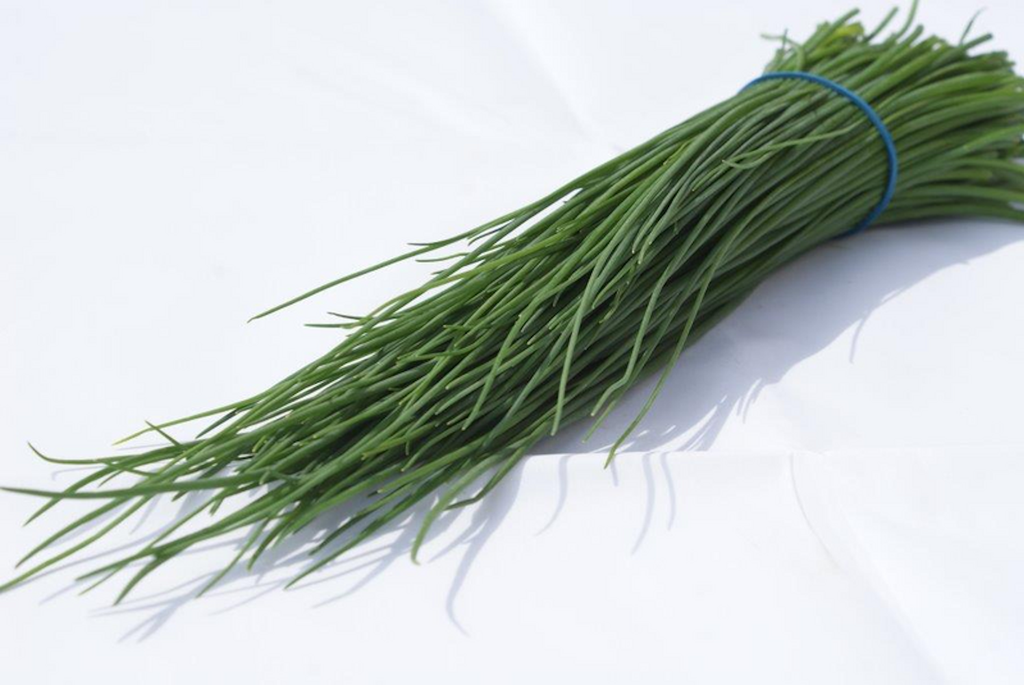 Ruohosipuli tuore 1kg KE/UG 1lk — HoReCa-tukku Kespro