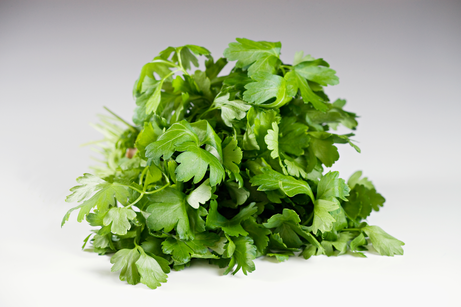 Menu tuore lehtipersilja 250g IT/ES/SE/DE 1lk — HoReCa-tukku Kespro