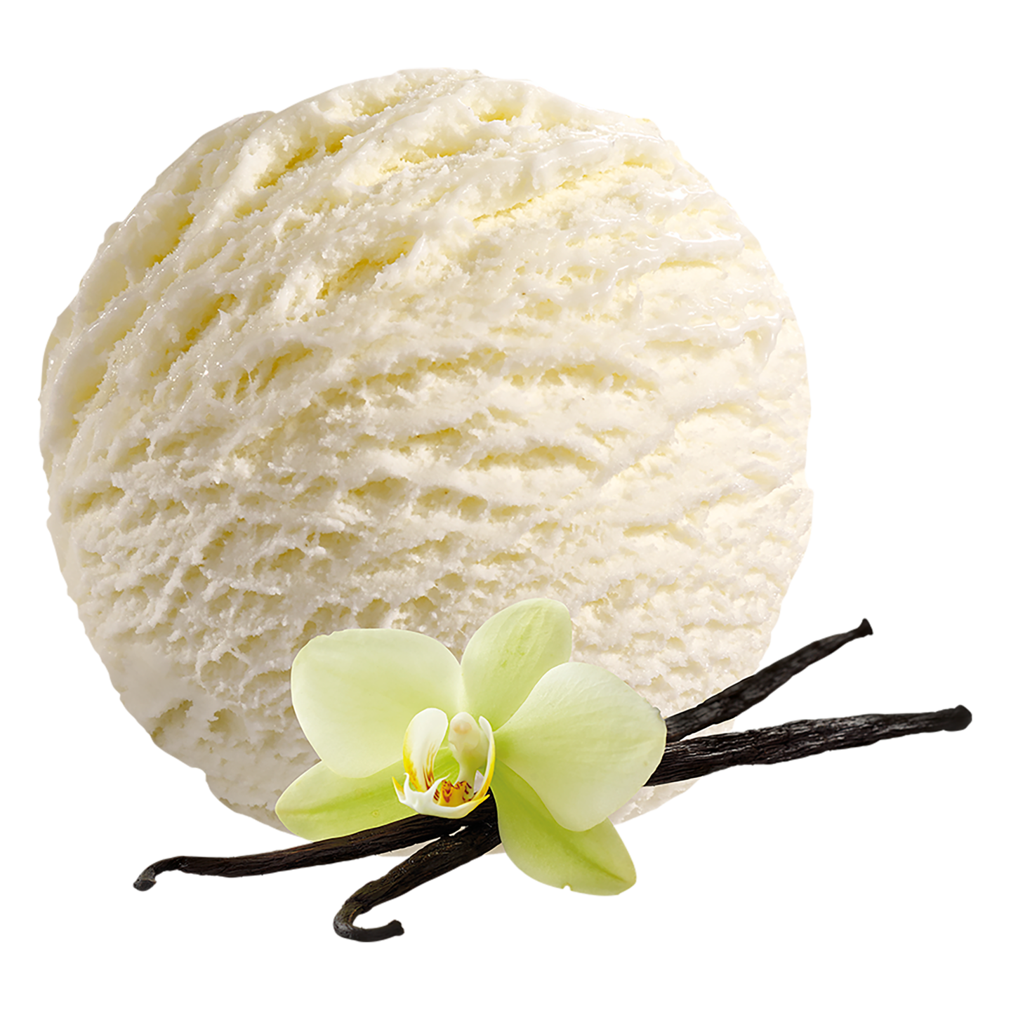 Ingman Irtojäätelö vanilja 5l laktoositon | K-Ruoka Verkkokauppa