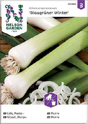 Siemen Purjosipuli BlauWinter | K-Ruoka Verkkokauppa