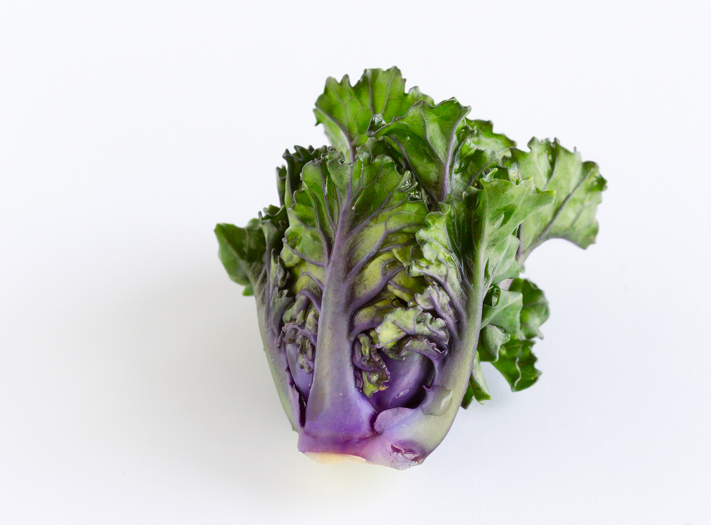 Flower sprout 250g Ruotsi/Hollanti | K-Ruoka Verkkokauppa