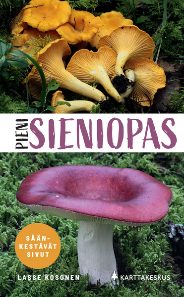 Kosonen, Pieni sieniopas | K-Ruoka Verkkokauppa