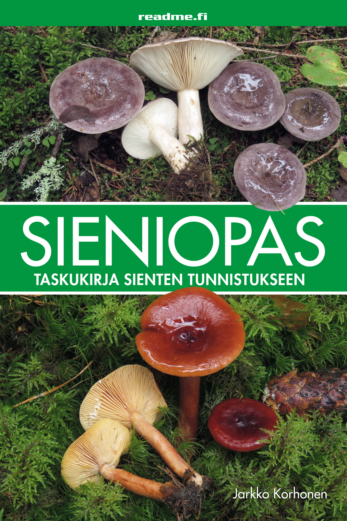 Sieniopas - Bestseller | K-Ruoka Verkkokauppa