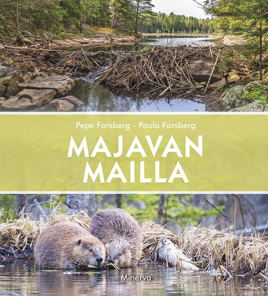 Forsberg, Majavan mailla | K-Ruoka Verkkokauppa