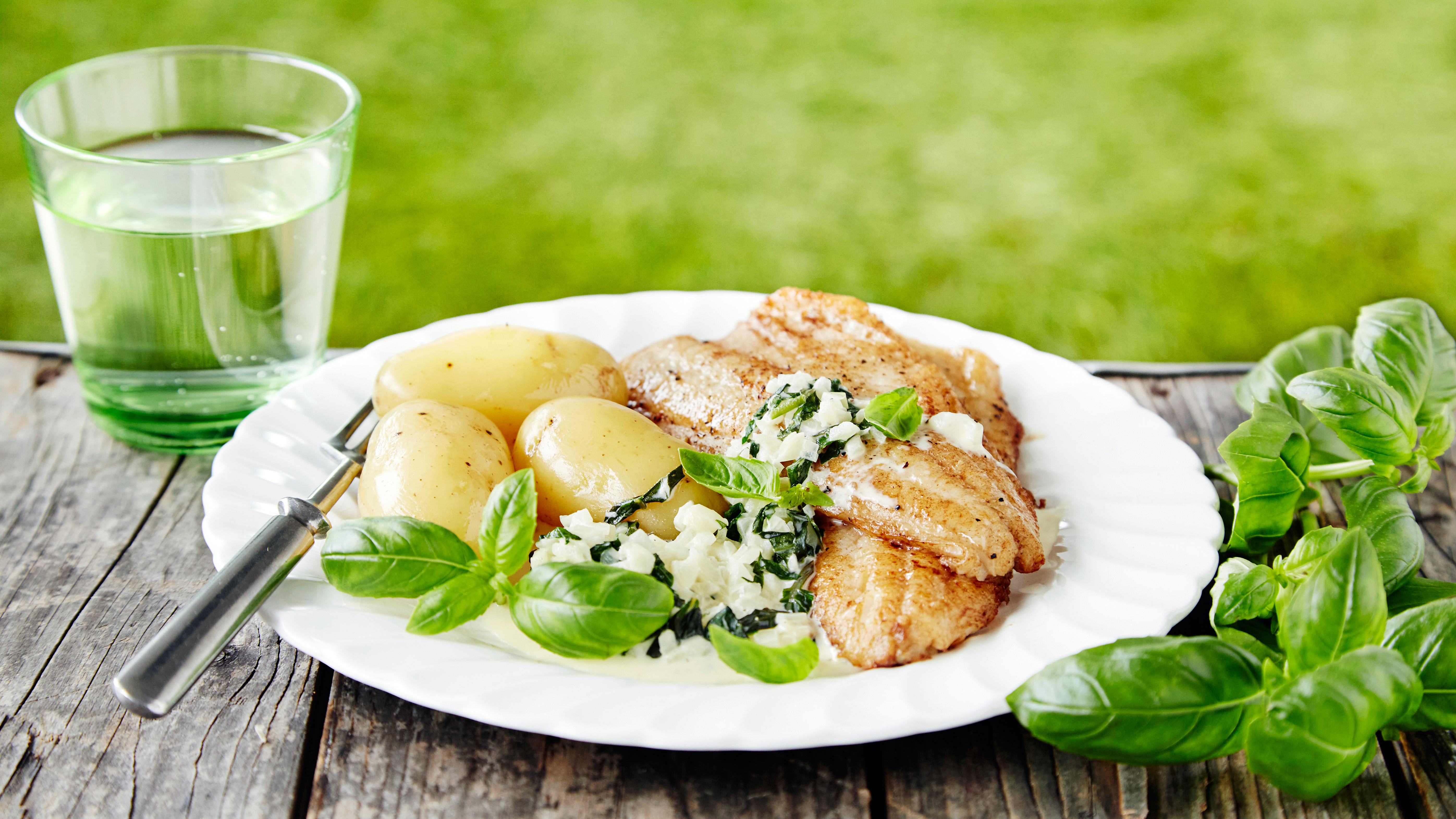 Paistettu kuhafilee ja basilikamuhennos | Reseptit | K-Ruoka